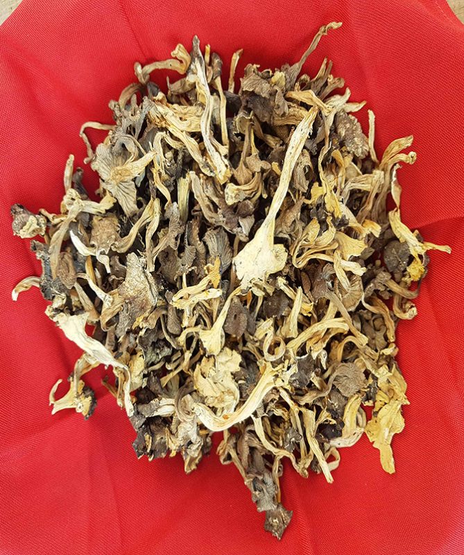 Oronges - Amanites des Caésars | Regal Plus